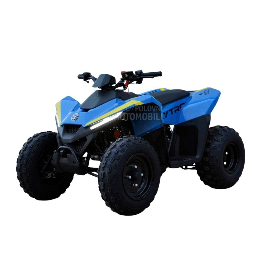 Skytron Eaglete 110ccm - K Moto
